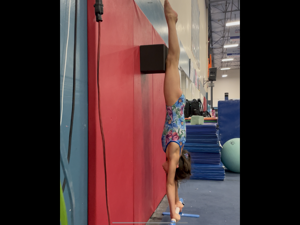 Handstand Training - Best Darn Gymnastics