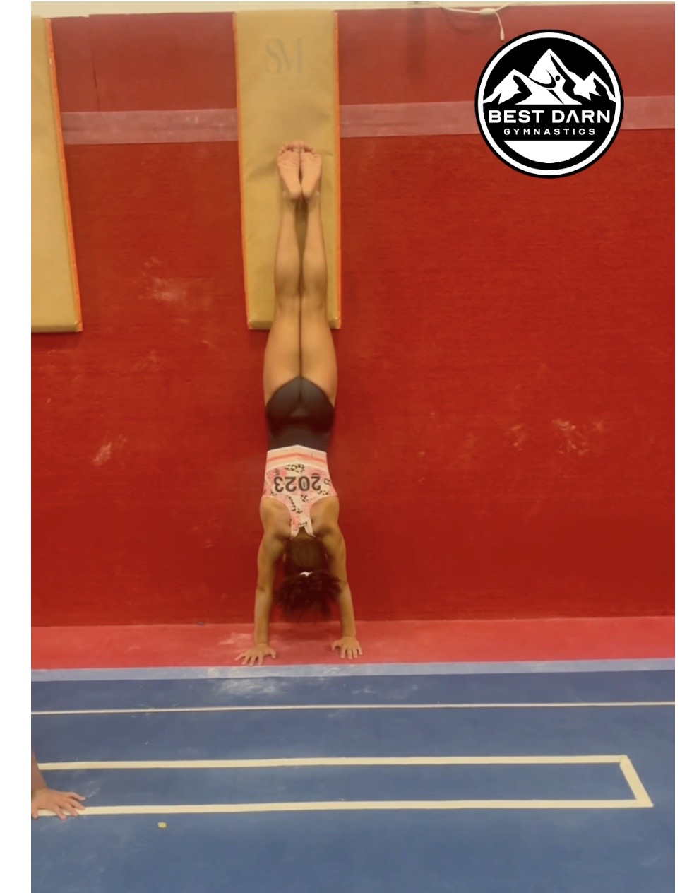 Giant Shaping Drills - Best Darn Gymnastics